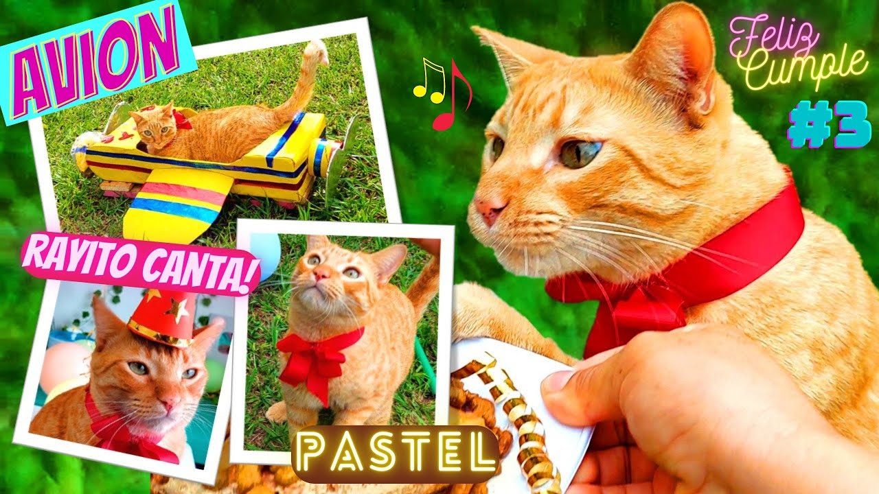 🎈FIESTA de CUMPLEAÑOS de Rayito #3 🛩️ Le hago un AVION! Cancion del ...