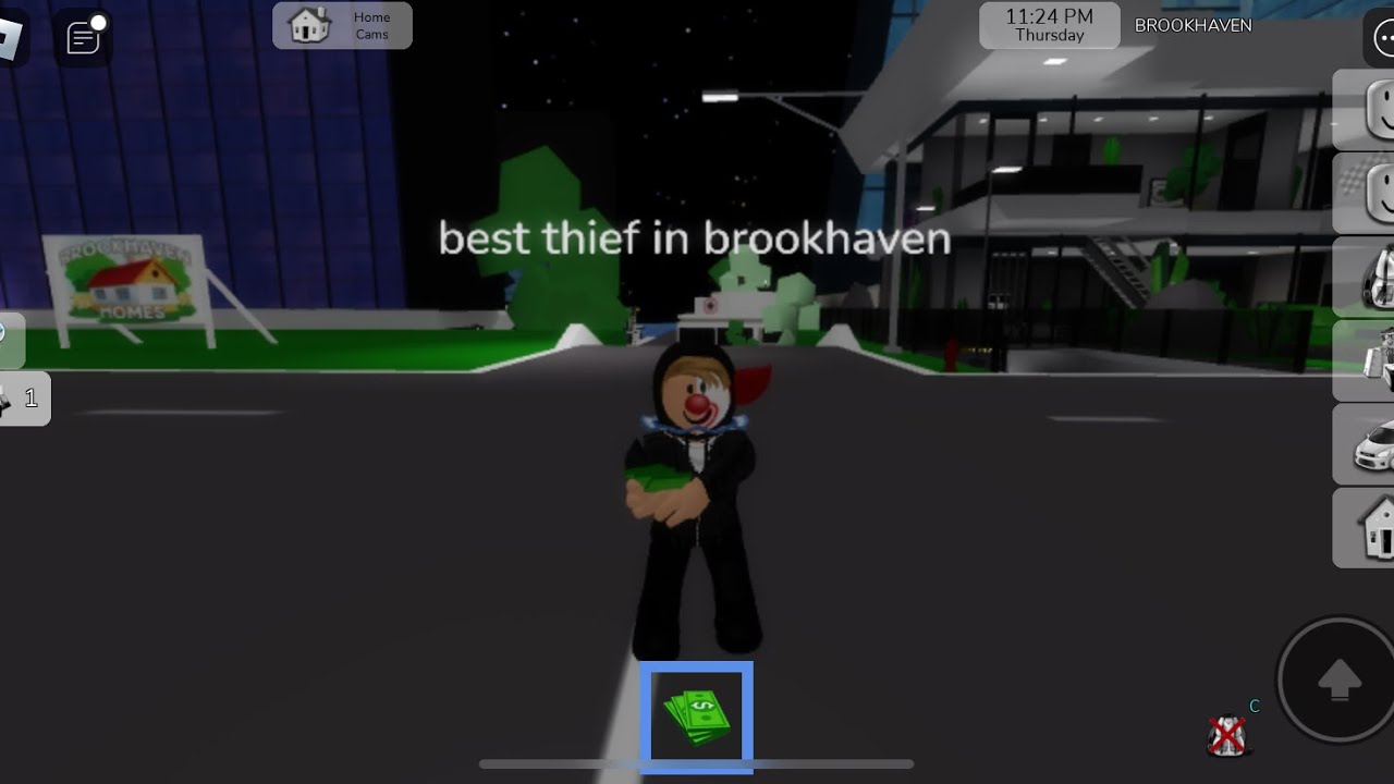 robing all houses 🏘️ in brookhaven RP(roblox) - YouTube