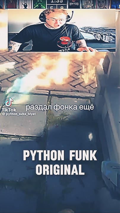 🥶 ORIGINAL vs. PYTHON FUNK | #phonk #phonkmusic #funk #original #edit #music - YouTube