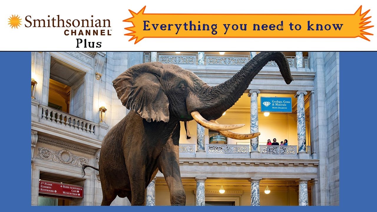 A Look at Smithsonian Channel Plus - YouTube