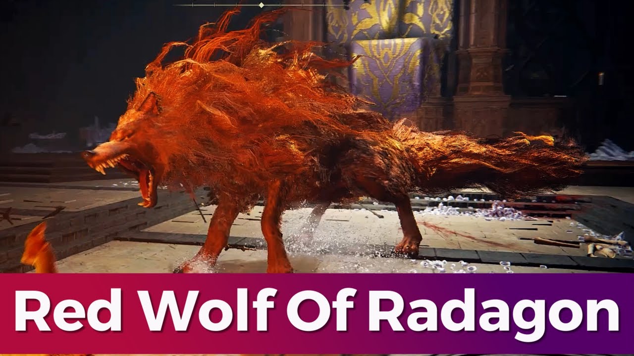 Elden Ring Red Wolf Of Radagon Carzy Fight by Gamers Glitchs - YouTube