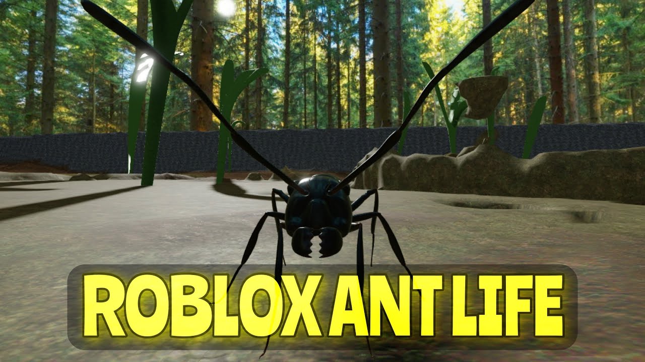 A Life As An Ant (ROBLOX Gameplay) - YouTube