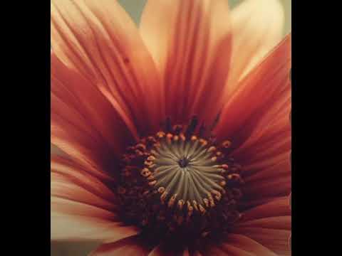 Kürtçe slow müzik 2026 neu nu yenı🎶❤️❤️❤️❤️❤️￼￼