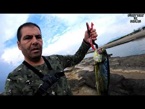 SAHİLDEN İLK ATIŞTA JİG İLE DEV 1 LAMBUKA BALIĞI YAKALADIM  | Balık Avı