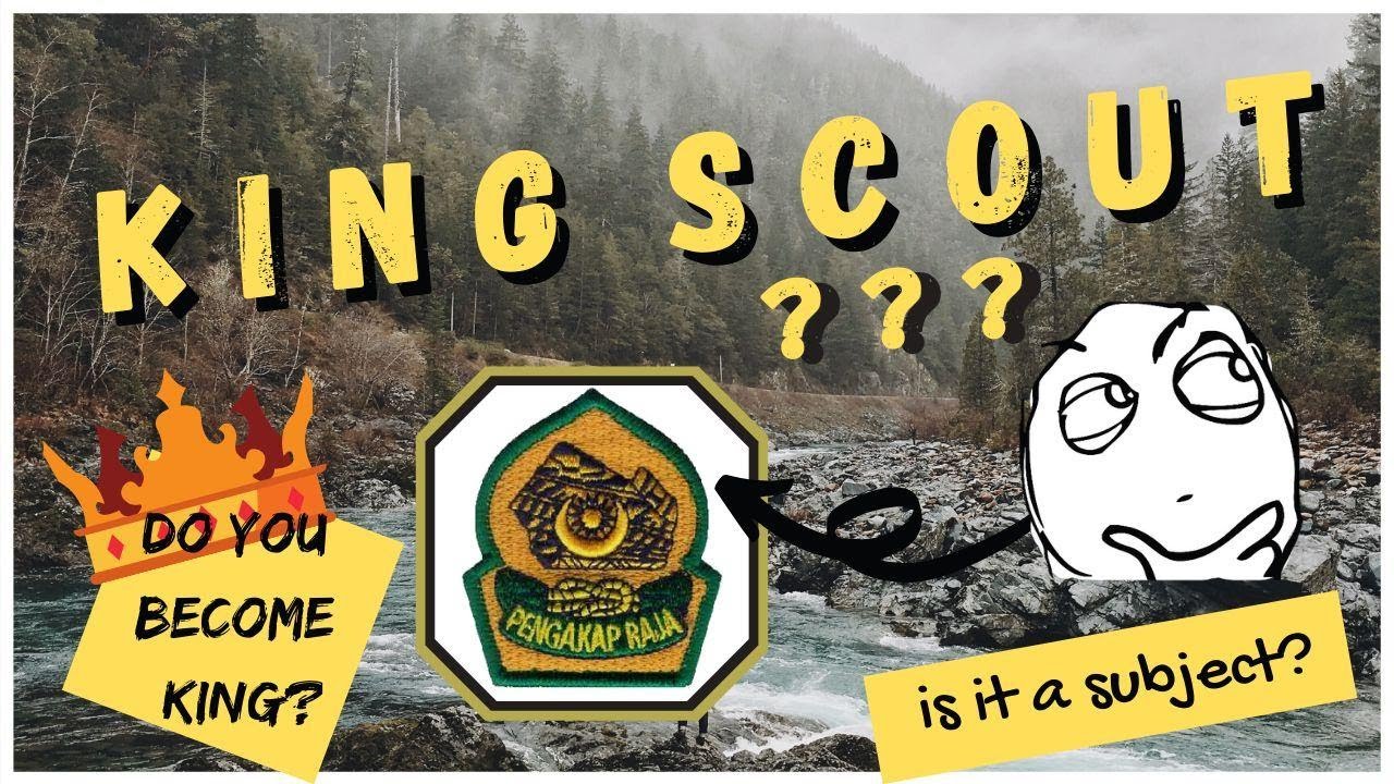 King Scout explained in * less than 5 minutes * - YouTube