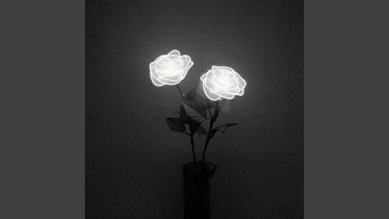 white roses - YouTube