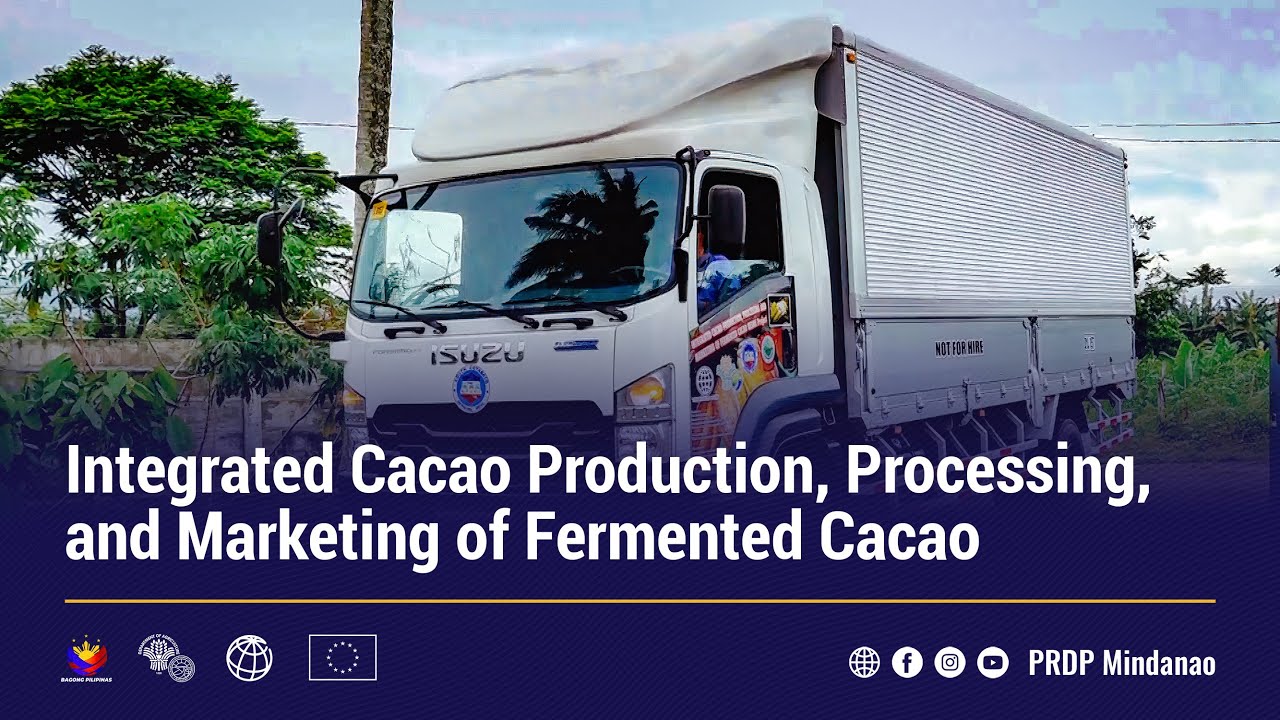 Integrated Cacao Production, Processing, and Marketing of Fermented ...