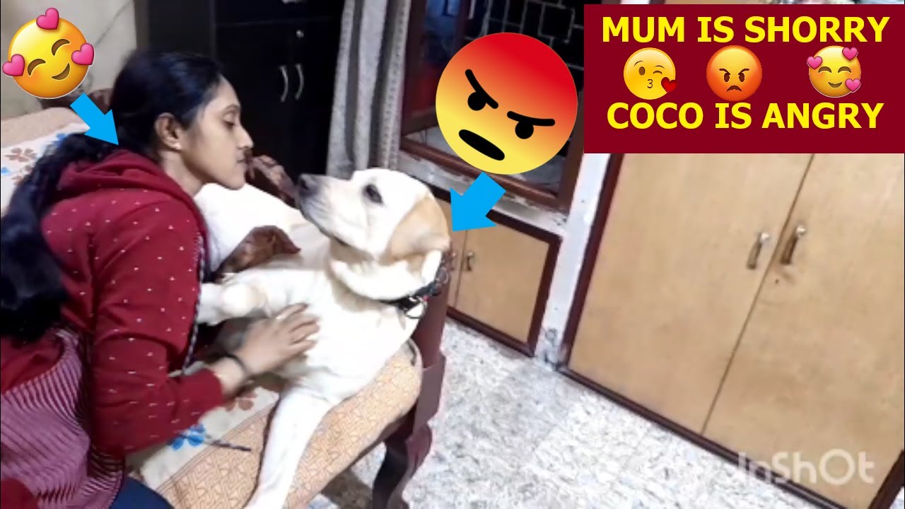 MUM IS SORRY | COCO IS ANGRY | MUM RECEIVES 💖 FROM COCO AFTER RETURNING ...