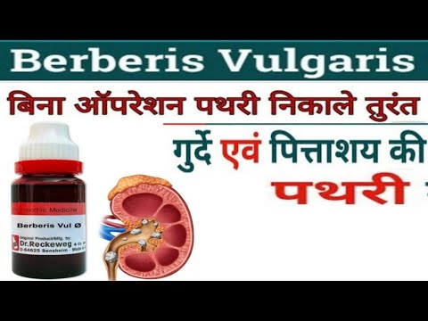 Berberis vulgaris 20 ml | stone cracker medicine | homoeopathic ...