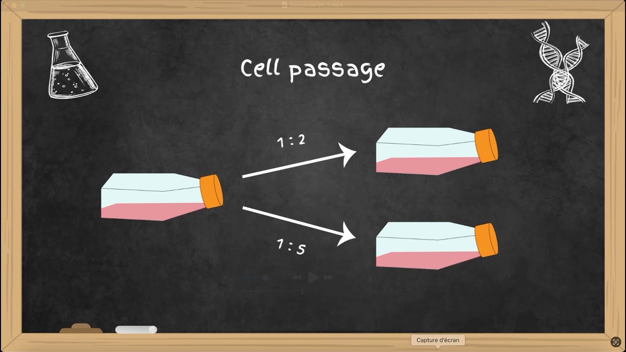 Cell Passage: A Step-by-Step Guide - YouTube