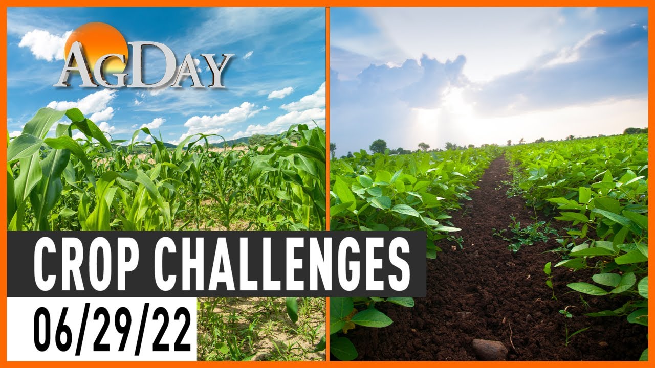 AgDay 06/29/22 - YouTube