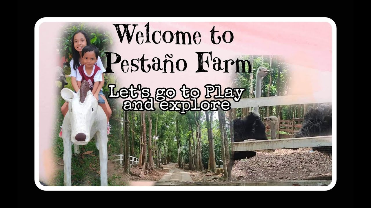 Pestaño farm /Pestaño Farm Antipolo City / Audrey Channel - YouTube