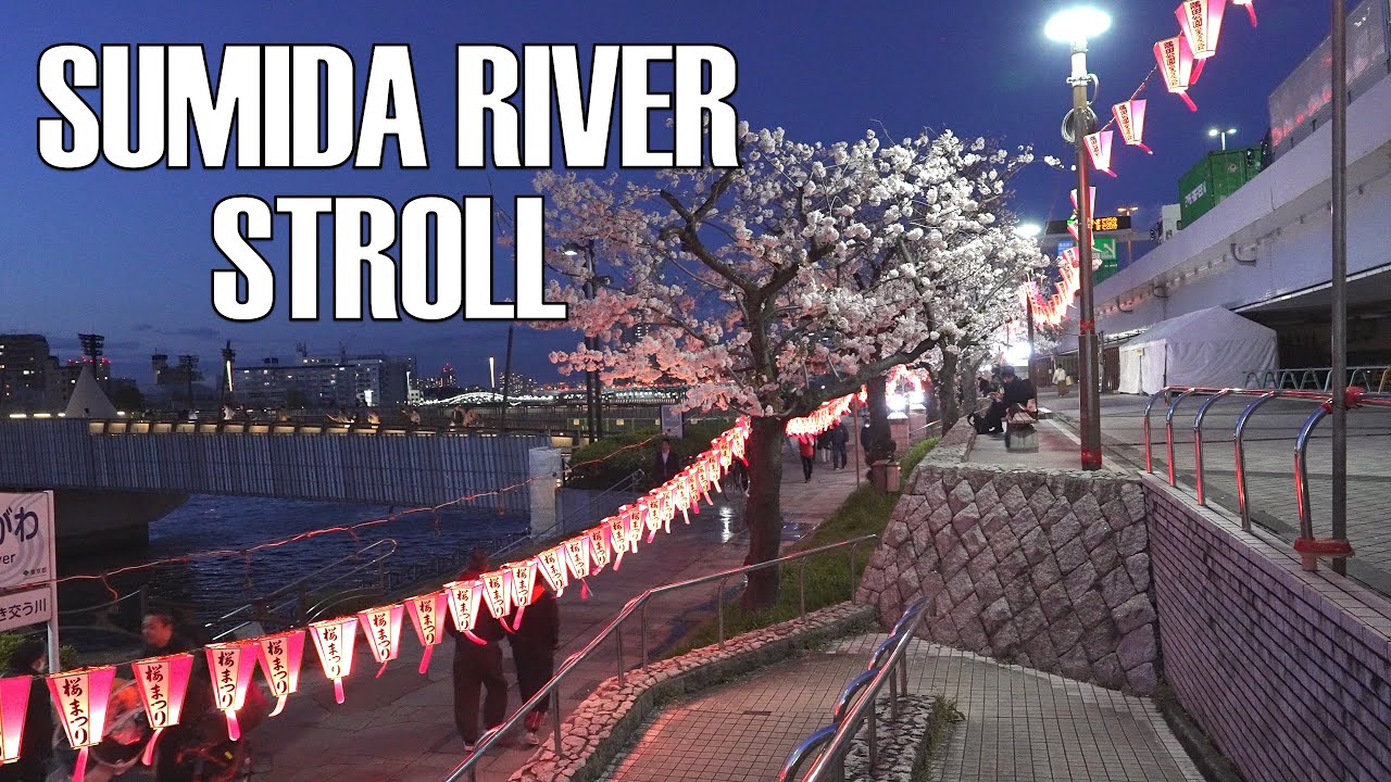 🌸 Sumida River Cherry Blossom Stroll | Tokyo Spring Walk 🌸 April 4 ...