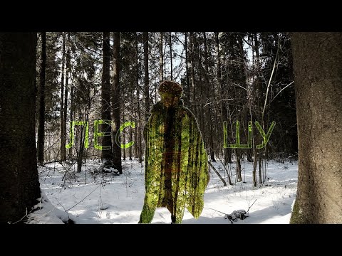 Forest - Shu / Лес - Шу - YouTube