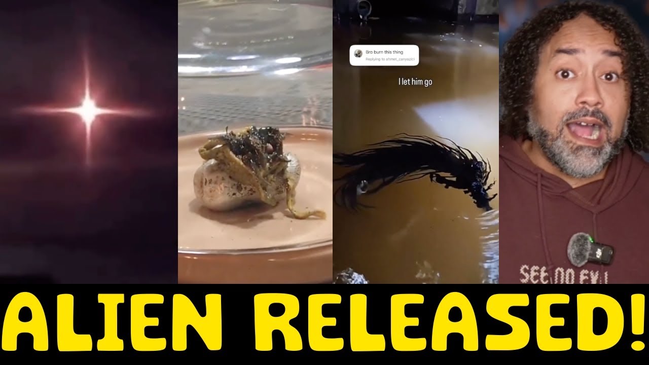 🚨 Alien Egg in Peru? King Panama’s UFO Creature Released Into the Wild ...