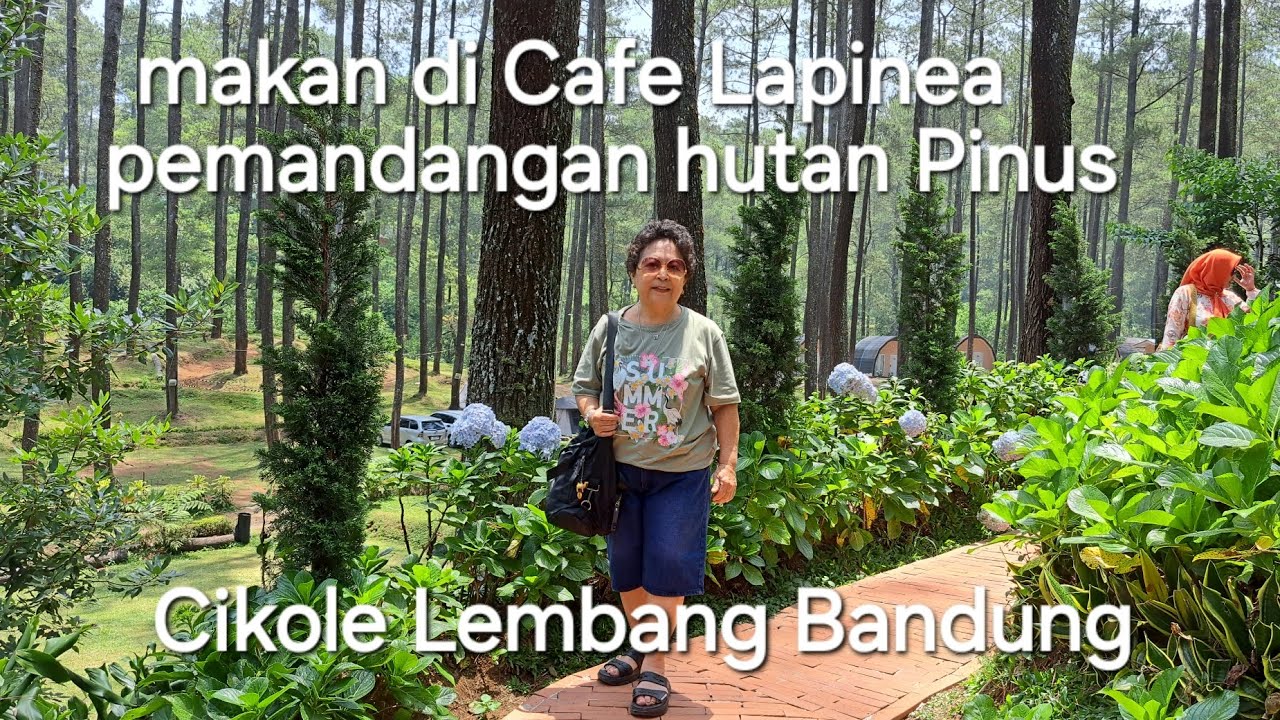 wisata ke Bandung makan di cafe Lapinea dikelilingi hutan Pinus Cikole ...
