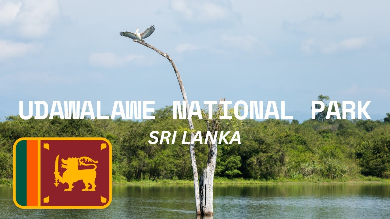 Udawalawe, Sri Lanka: Discovering the Wilderness : Travel Guide And ...