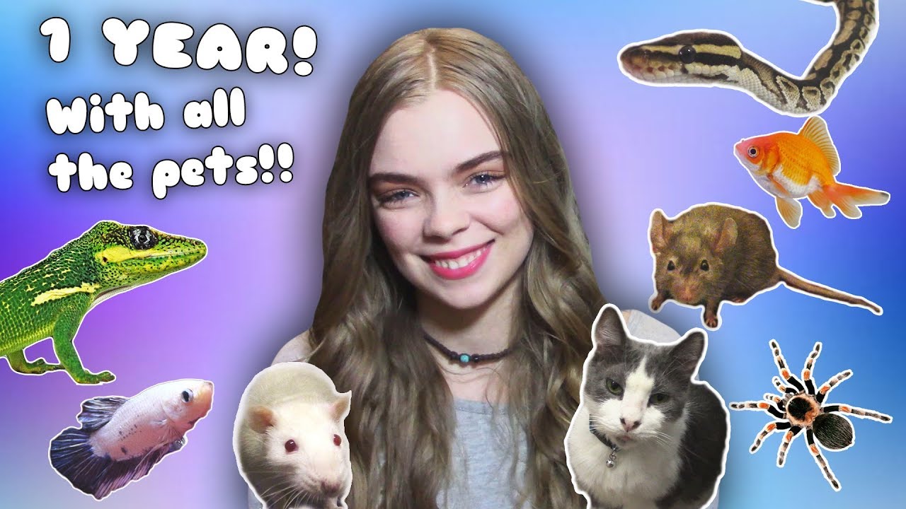 ONE YEAR OF PET ADVENTURES OMG! W/ ALL THE PETS EVER! - YouTube