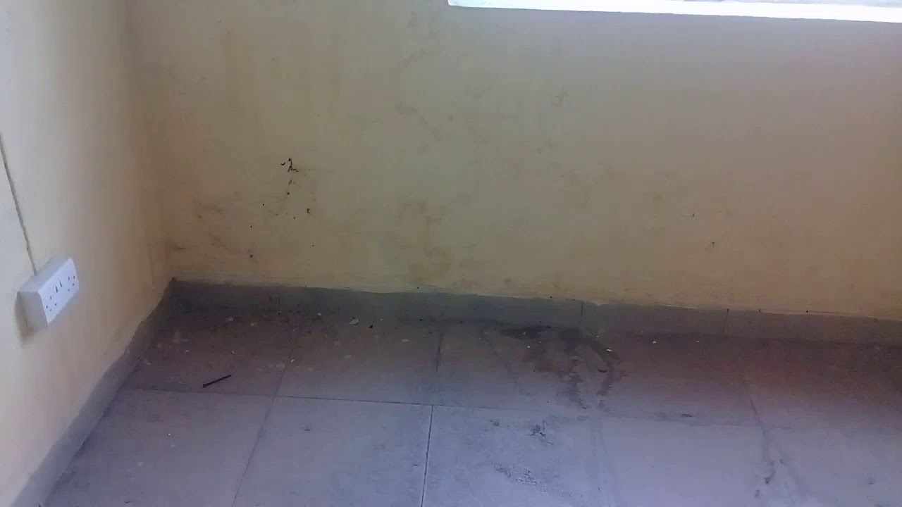 Modupe Johnson - YouTube