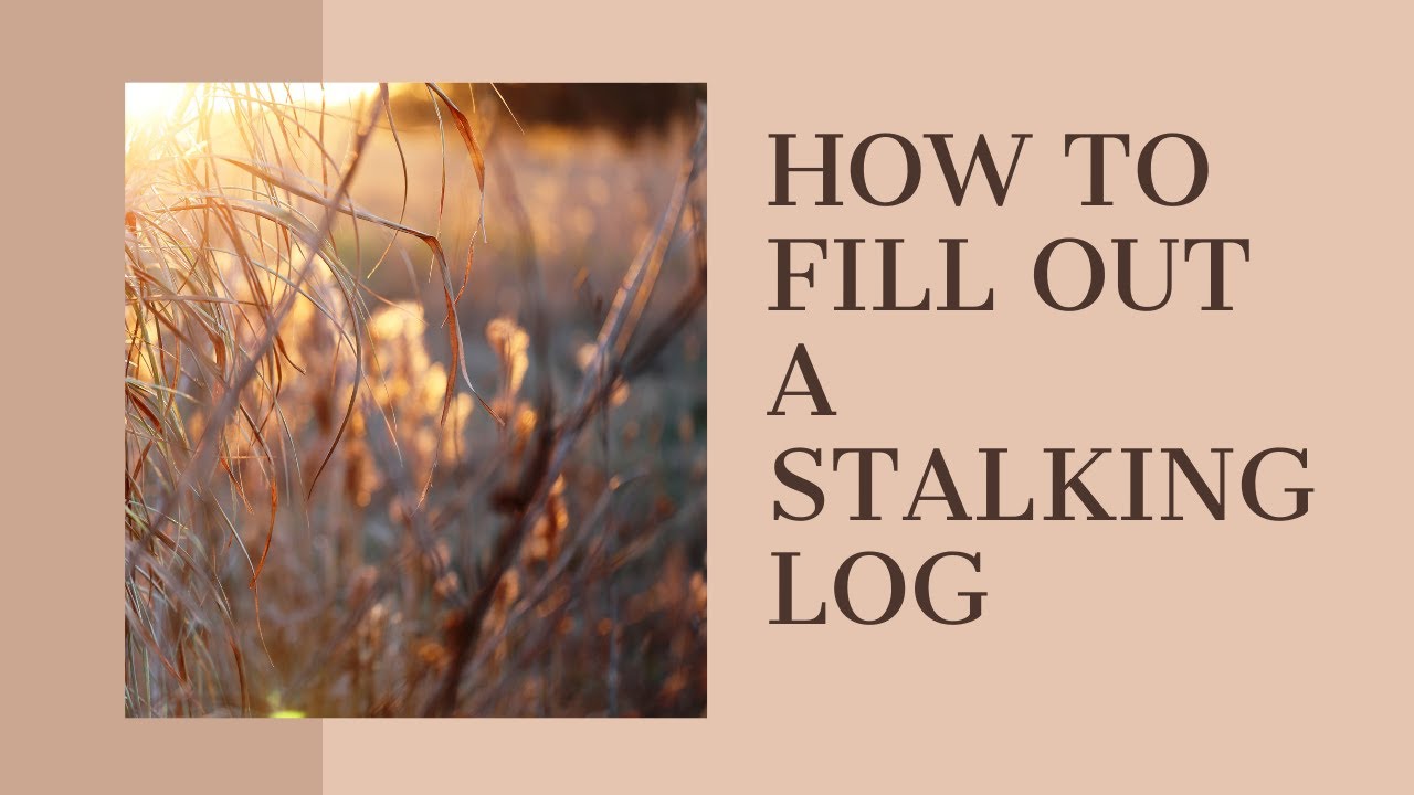 How to Fill Out a Stalking Log | UCI CARE - YouTube