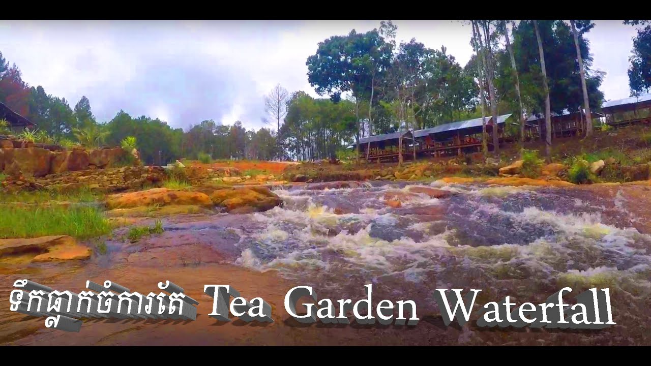 Tea Garden Waterfall - ចំការតែ គិរីរម្យ - YouTube