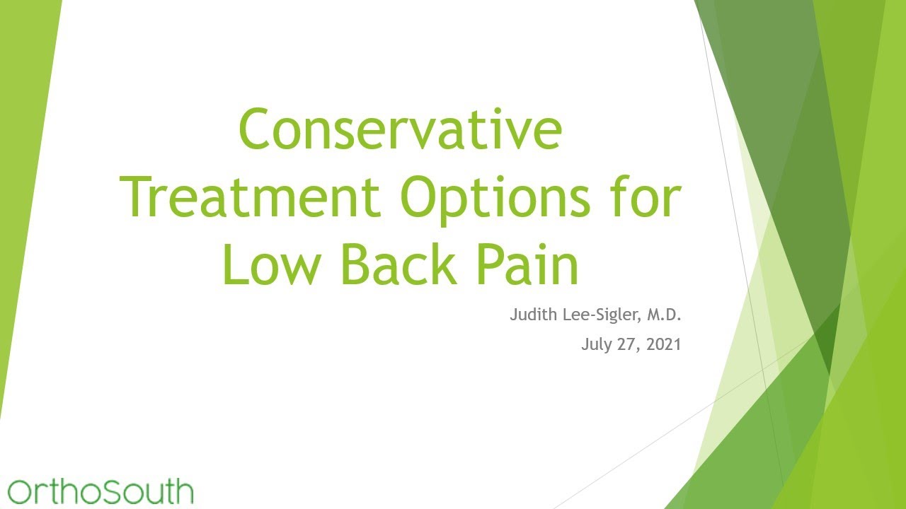 Conservative Treatments Options for Low Back Pain - Webinar Recording ...