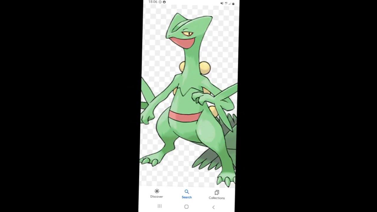 Greninja Vs Sceptile Youtube
