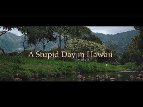a stupid day in Hawaii - YouTube