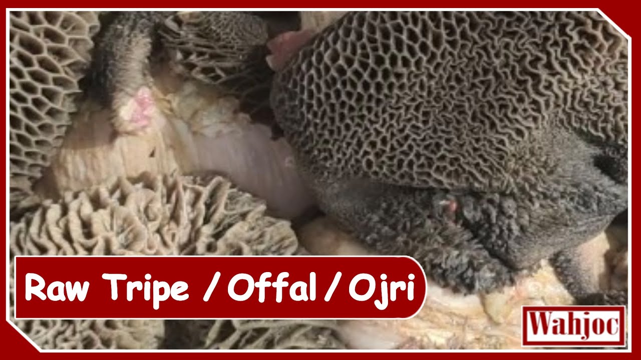 Raw Buffalo Reticulum | Tripe Or Offal | Cleaning Area Of Slaughter ...