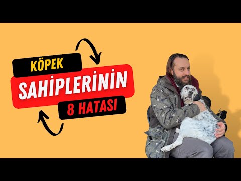Köpek Sahiplerinin Yaptığı 8 Büyük Hata - Köpek Eğitim Videoları
