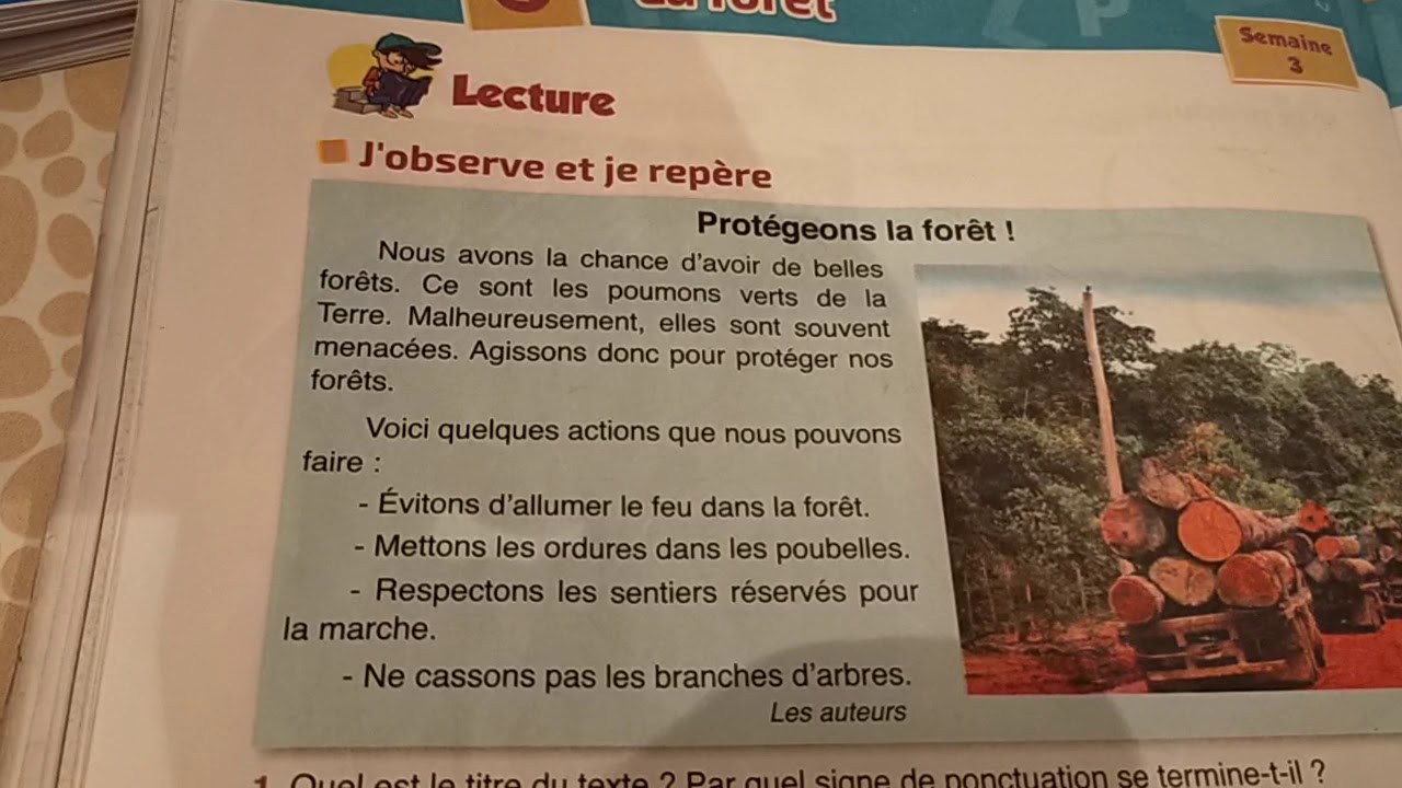 lecture 4 ème année Protégeons la forêt ! - YouTube