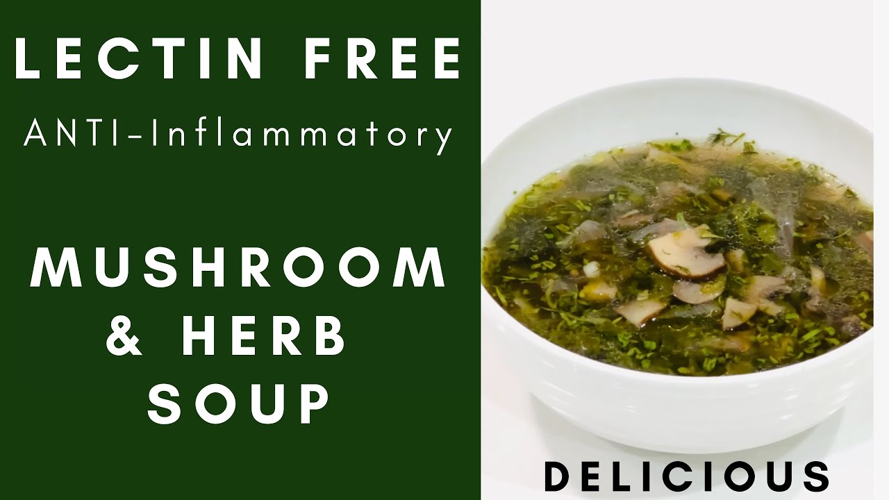 How to Make Mushroom Herb Soup [ Lectin Free Dinner Recipe ] ANTI ...