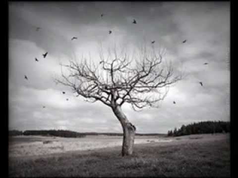 Kubat - Gesi Bağları