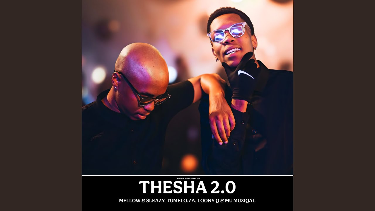 Mellow & Sleazy, Tumelo.za, Loony Q & Mu Muziqal - Thesha 2.0 (Official ...