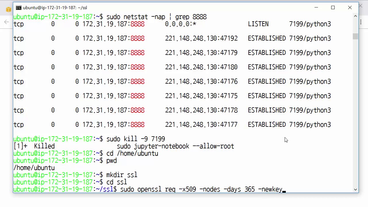도커docker 활용 및 배포 자동화 실전 초급 ② Jupyter Notebook 설치 적용 시스템 서비스