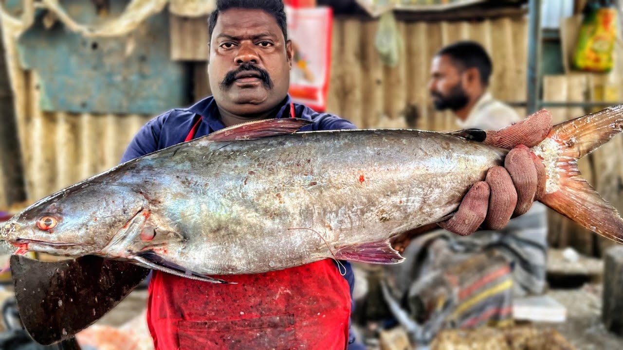 KASIMEDU 🔥 SPEED SELVAM | HUGE KELUTHI FISH CUTTING VIDEO | 4K VIDEO ...