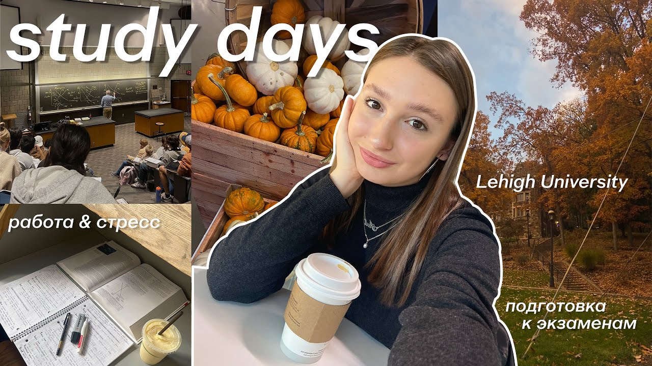 STUDY DAYS: работаю, готовлюсь к экзаменам и романтизирую осень - YouTube