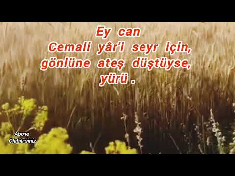 Ey can Cemali yâr'i seyr için, gönlüne ateş düştüyse, yürü.