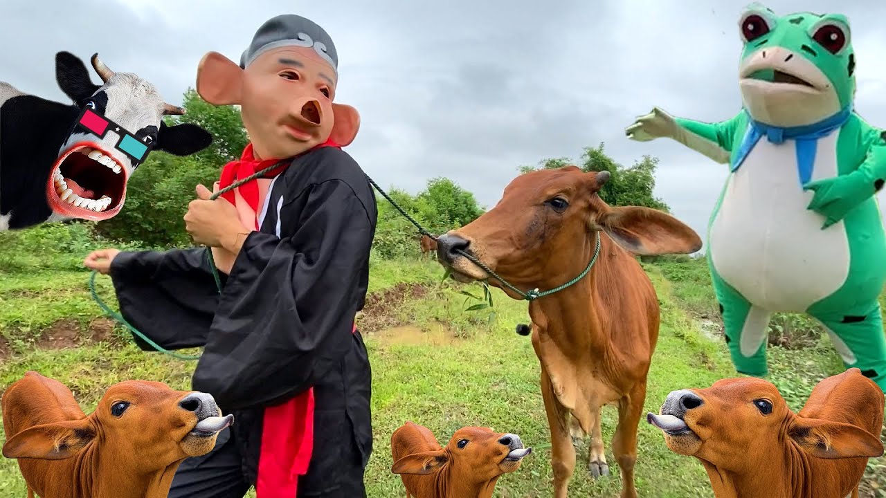 Con Bò - Nhạc Con Bò - Con Bò Ăn Cỏ - Bài Hát Con Bò #conbo #nhacconbo ...