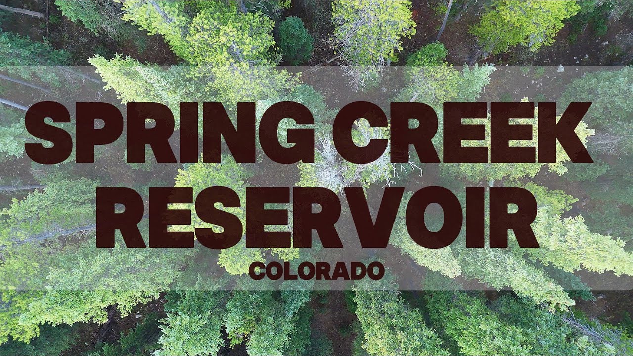 Spring Creek Reservoir | Colorado | Moose & Ducks - YouTube