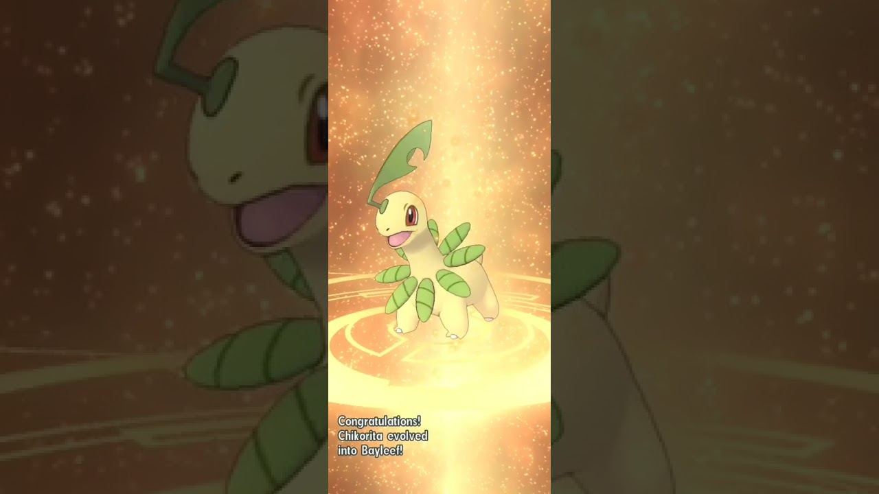 Chikorita Evolved Into Bayleef - Pokemon Masters Ex - YouTube