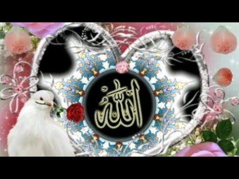 Allah ka naam Jo phoolon mein chamak Raha hai isko - YouTube