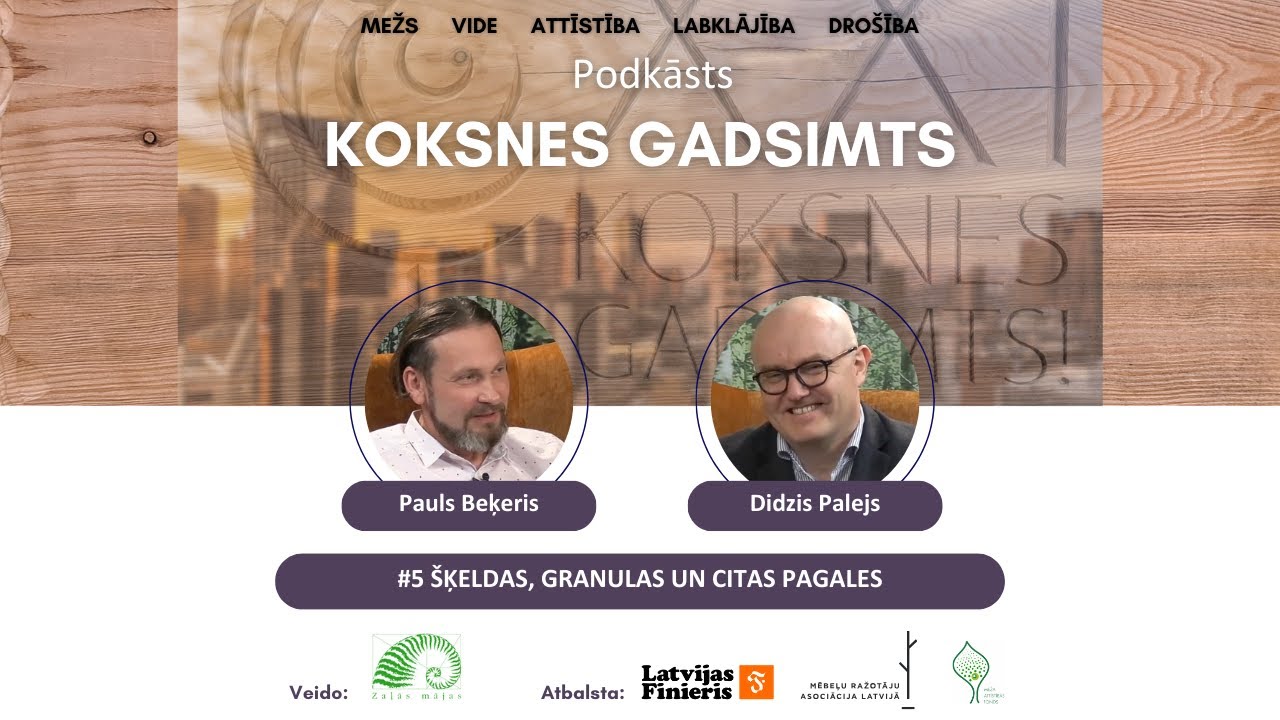 Didzis Palejs. Šķeldas, granulas un citas pagales - YouTube