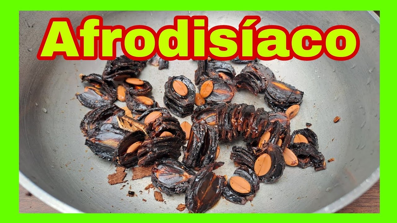 Preparé el Jugo del Amor 💘 💕- Jogo de Carao, Cañandonga o Caña Fistula ...