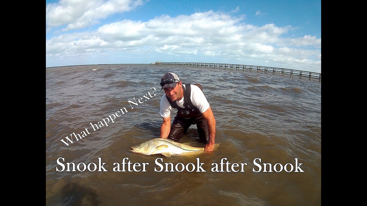 Caught a 40 inch Snook...what happens next??? - YouTube