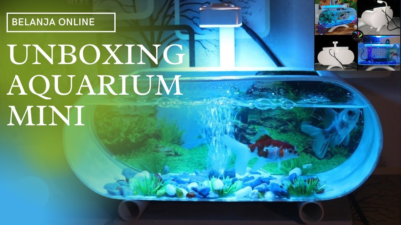 Aquarium mini (29cm) Satu Set | Unboxing & Review - YouTube