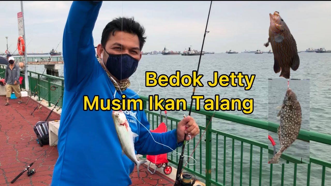 Singapore Fishing ( Bedok Jetty) Musim Queenfish ke ??? June 2021 EP:15 ...