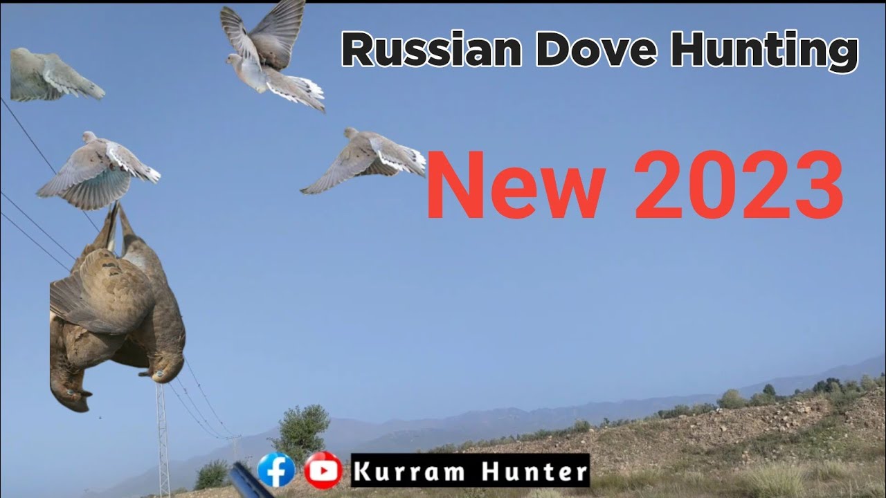 Russian Dove Hunting 2023 | Dove Best Hunting Video 2023 New. - YouTube