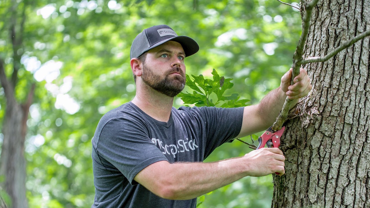 Early mock scrape systems where , when and how Art Helin Outdoors - YouTube