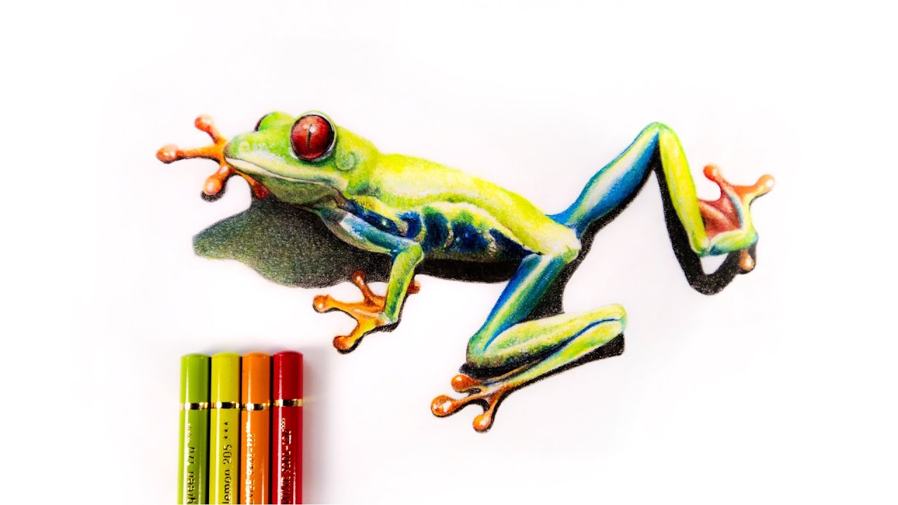 Mastering Colored Pencil Art | 3 Expert Tips from Sketch to Finish ...